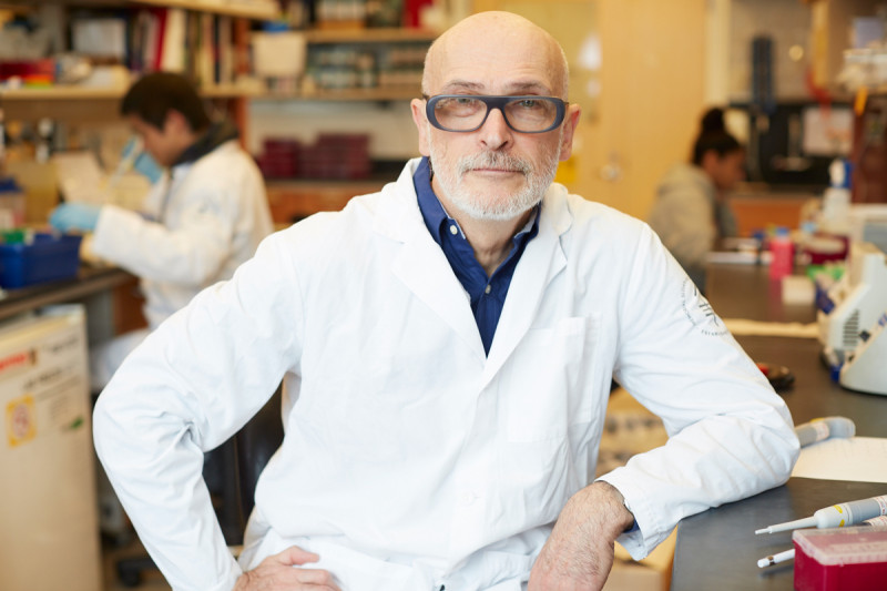 The Alexander Rudensky Lab | Gerstner Sloan Kettering Graduate School ...