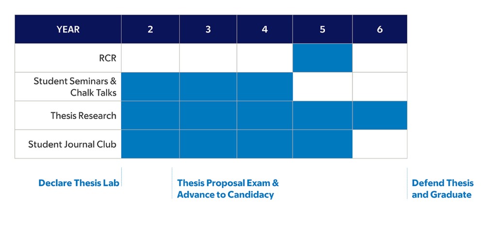 GSK Cancer Biology PhD Second Year & Beyond Courses & Dissertation ...