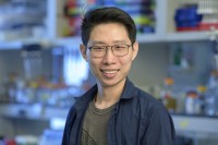 The Anna-Katerina Hadjantonakis Lab: Dun Chen | Gerstner Sloan ...