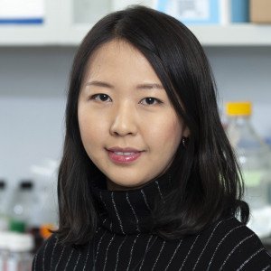 The Lorenz Studer Lab | Gerstner Sloan Kettering Graduate School of ...