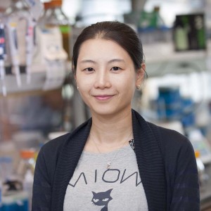 The Andrea Ventura Lab | Gerstner Sloan Kettering Graduate School of ...