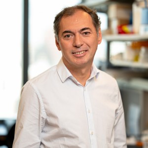 The Kayvan Keshari Lab | Gerstner Sloan Kettering Graduate School of ...