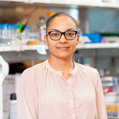 The Kayvan Keshari Lab | Gerstner Sloan Kettering Graduate School of ...