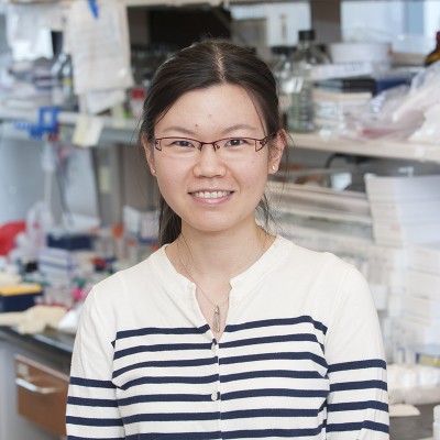 The Ming Li Lab | Gerstner Sloan Kettering Graduate School of ...