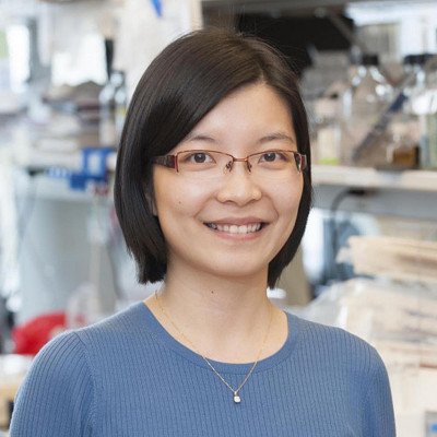 The Ming Li Lab | Gerstner Sloan Kettering Graduate School of ...