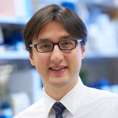 The Alexander Rudensky Lab | Gerstner Sloan Kettering Graduate School ...