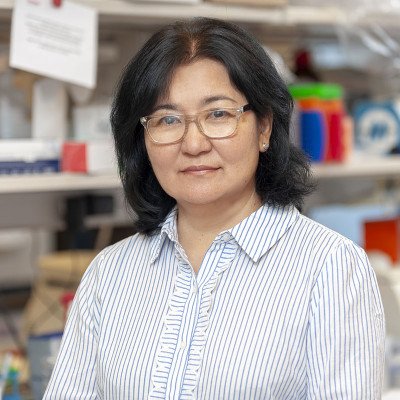 The Vinod Balachandran Lab | Gerstner Sloan Kettering Graduate School ...