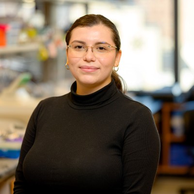 The Piro Lito Lab | Gerstner Sloan Kettering Graduate School of ...