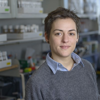 The Mary Baylies Lab | Gerstner Sloan Kettering Graduate School of ...