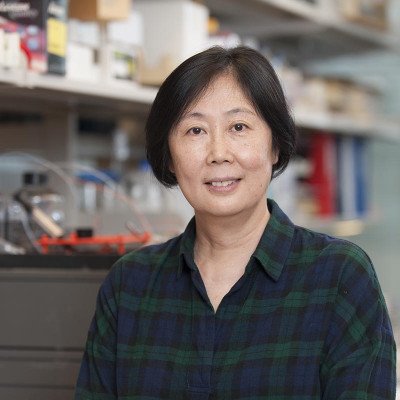 The Nai-Kong Cheung Lab | Gerstner Sloan Kettering Graduate School of ...