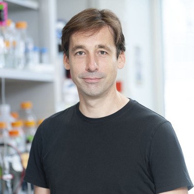 The Dirk Remus Lab | Gerstner Sloan Kettering Graduate School of ...