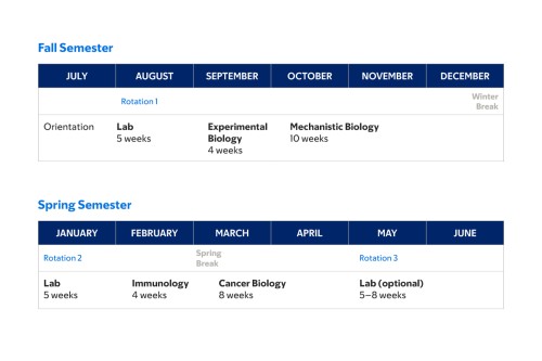 GSK Cancer Biology PhD First Year Courses & Curriculum | Gerstner Sloan ...
