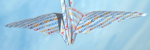 The Hans-Guido Wendel Lab | Gerstner Sloan Kettering Graduate School of ...