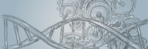 Understanding the DNA-Damage “First Responders”: John Petrini at Work ...