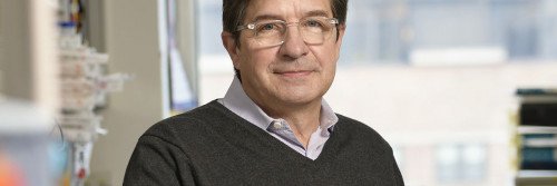 Understanding the DNA-Damage “First Responders”: John Petrini at Work ...