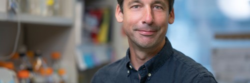 At Work: Molecular Biologist Dirk Remus | Sloan Kettering Institute