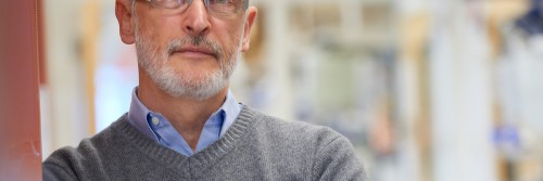 Research Uncovers Details about How Gut Microbes Influence the Immune ...