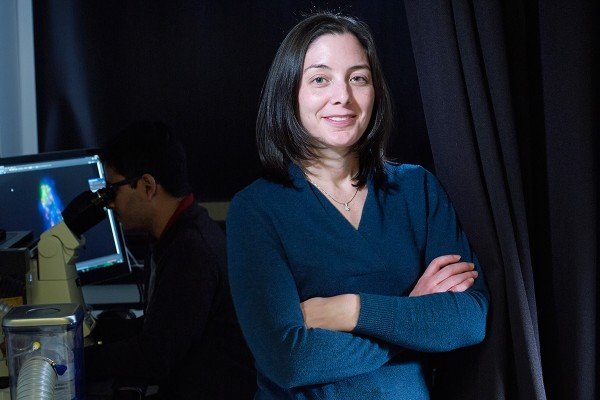 At Work: Cell Biologist Emily Foley | Gerstner Sloan Kettering Graduate ...