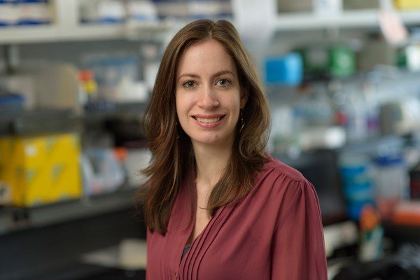 The Lorenz Studer Lab: Elizabeth L Calder, PhD | Gerstner Sloan ...