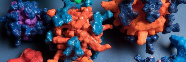 Something New Under the Sun: Study in Leukemia Finds Role for Helios ...