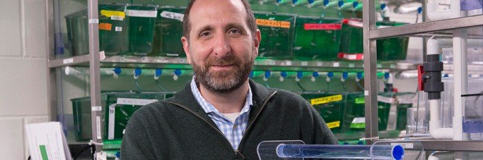 Cancer Cells Eat Fat to Grow and Spread | Memorial Sloan Kettering ...