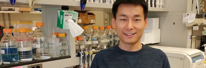 The Scott Keeney Lab: Meiotic Recombination in the Mouse | Gerstner ...