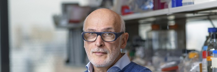 At Work: Immunology Program Chair Alexander Rudensky | Sloan Kettering ...