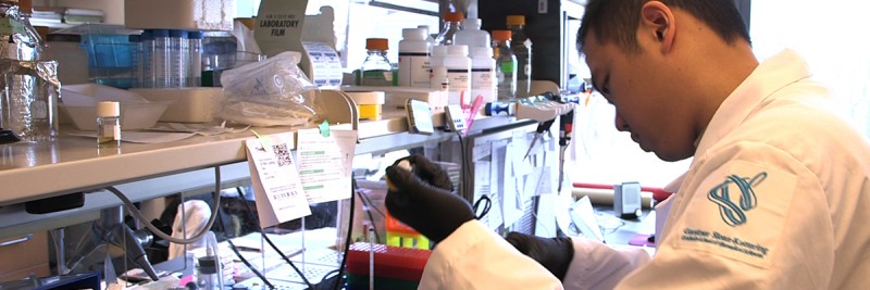 Welcome to GSK | Gerstner Sloan Kettering Graduate School of Biomedical ...