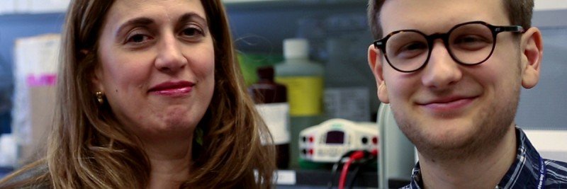 Welcome to GSK’s PhD Program | Gerstner Sloan Kettering Graduate School ...