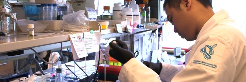 Welcome to GSK | Gerstner Sloan Kettering Graduate School of Biomedical ...