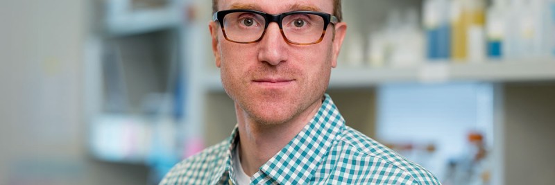 SKI Scientists Determine Structure of a DNA Damage 'First Responder ...