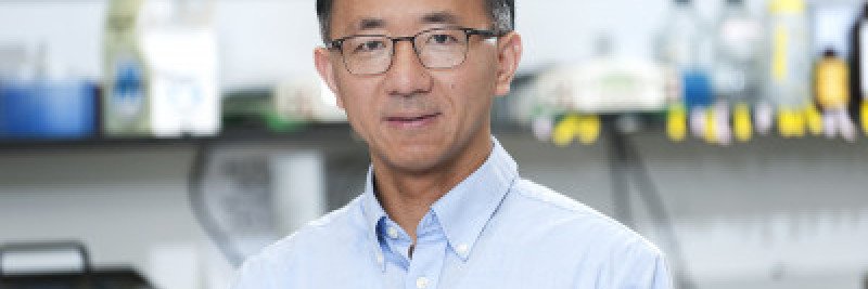 At Work: Cell Biologist Xuejun Jiang | Sloan Kettering Institute