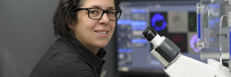 At Work: Developmental Biologist Anna-Katerina Hadjantonakis | Gerstner ...