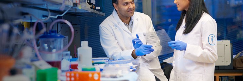 What Is Epigenetics, and Why Is Everyone Talking about It? | Memorial ...